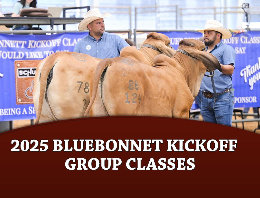 2025 Bluebonnet Kick Off Classic Open Show – Group Classes – The ...