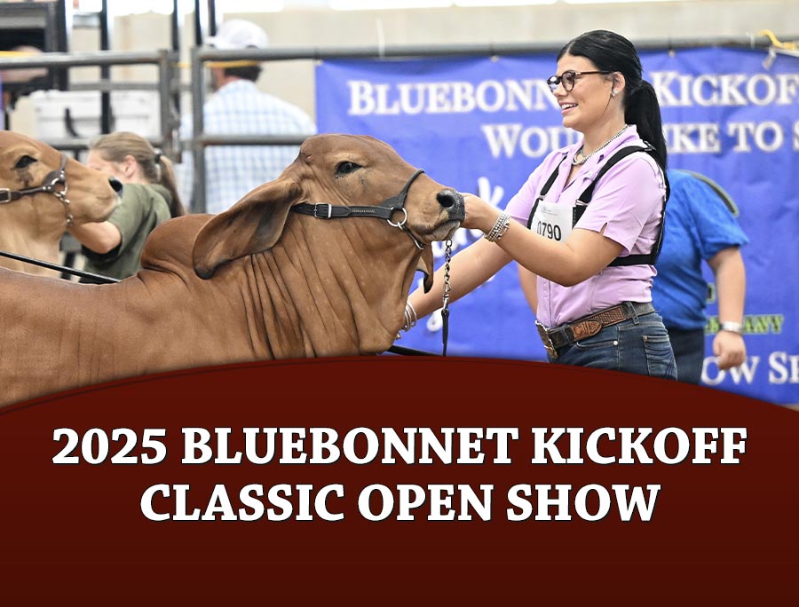 2025 Bluebonnet Kick Off Classic Open Show – The Brahman Journal