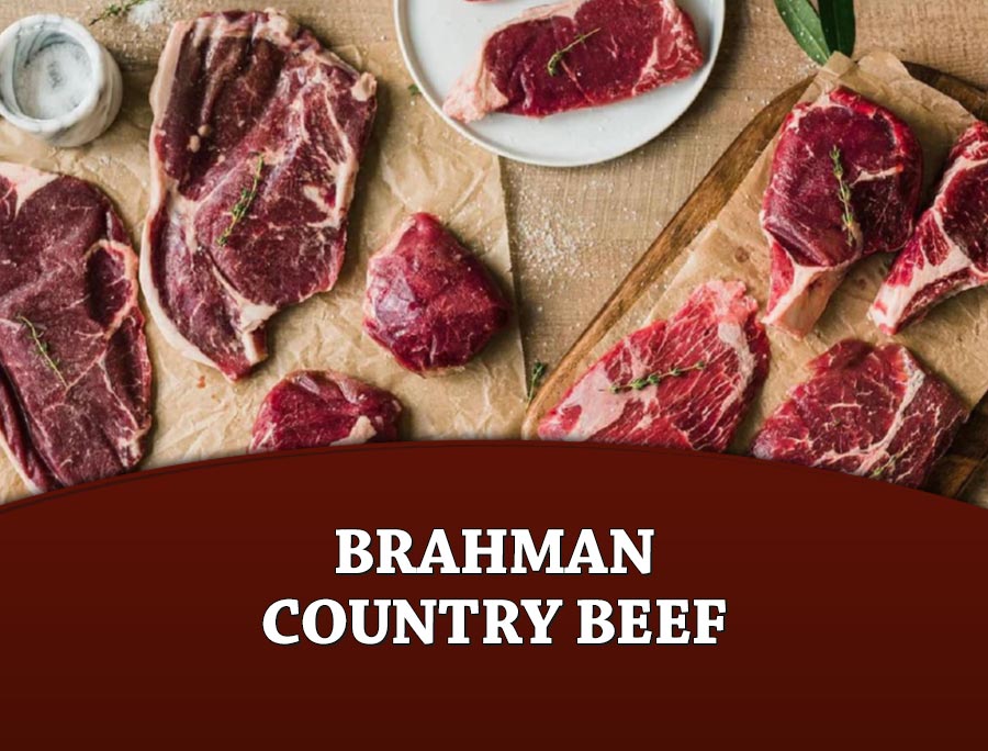 Brahman Country Beef – The Brahman Journal
