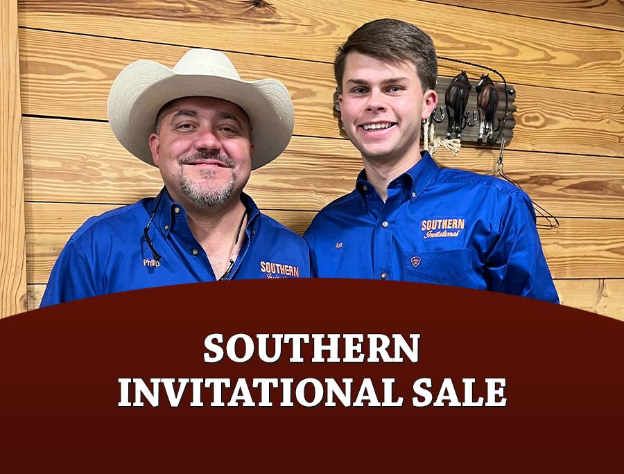 Southern Invitational Registered Brahman & F1 Sale – The Brahman Journal