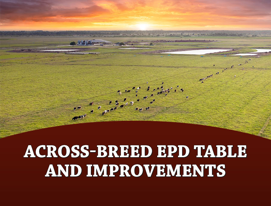 Across-Breed EPD Table and Improvements – The Brahman Journal