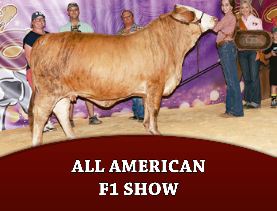 All American F1 Show – The Brahman Journal