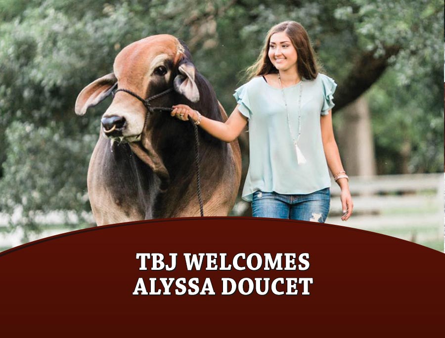 TBJ Welcomes Alyssa Doucet – The Brahman Journal