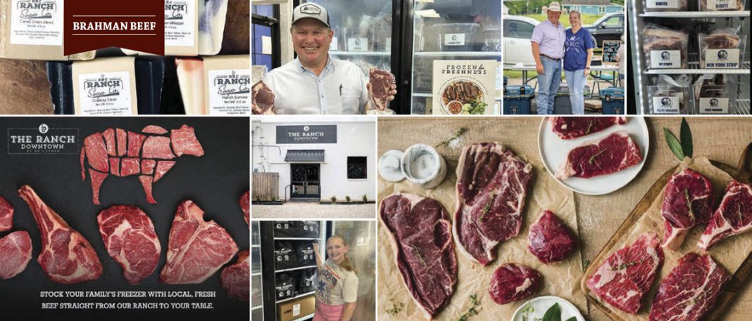 Brahman Country Beef – The Brahman Journal