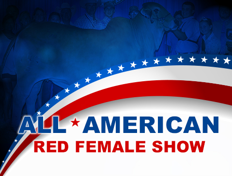 2017 All American – Red Female Show – The Brahman Journal