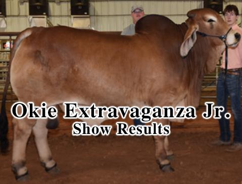 2017 Okie Extravaganza Jr. Show – The Brahman Journal
