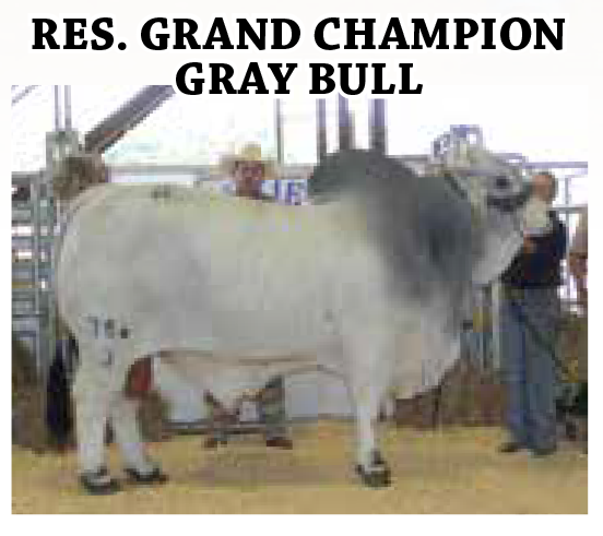2016 Okie Extravaganza Open Show – The Brahman Journal