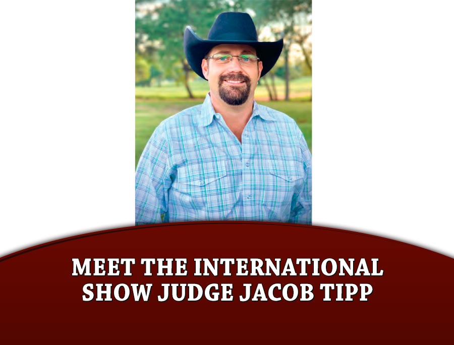 Meet The International Show Judge Jacob Tipp – The Brahman Journal