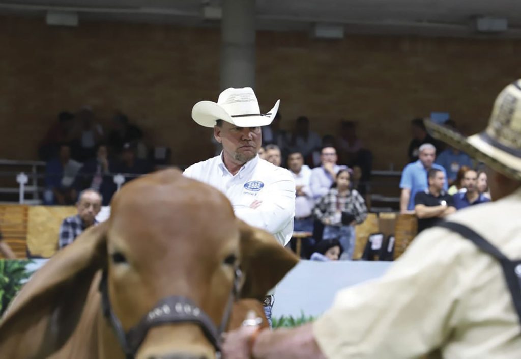 Meet the 2023 International Brahman Show Judge Judd Cullers – The ...