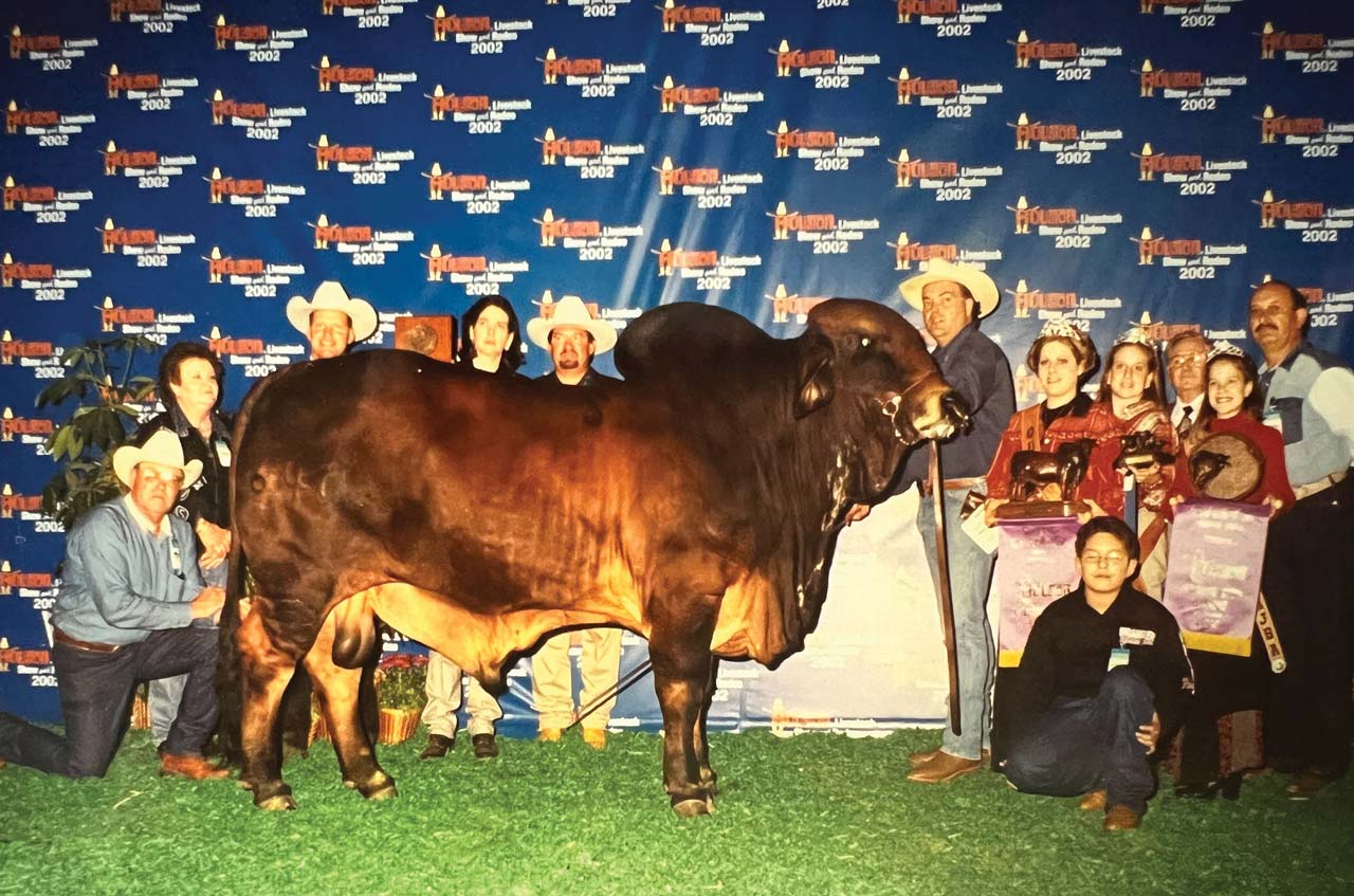 Meet the 2023 International Brahman Show Judge Judd Cullers – The ...