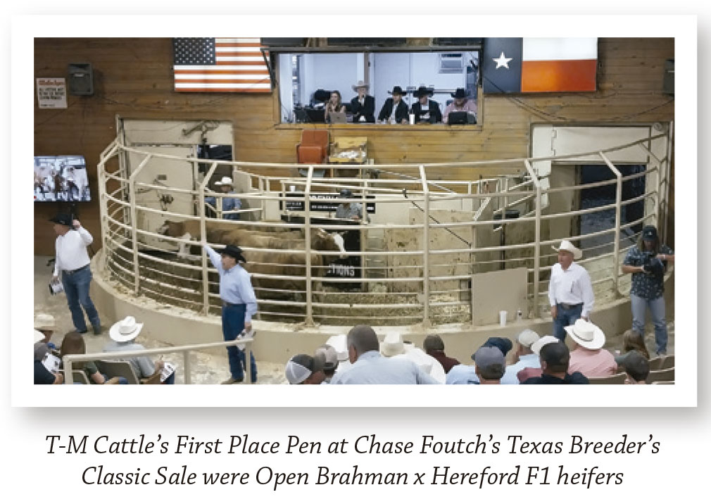ABBA Awards the First Brahman Bucks – The Brahman Journal