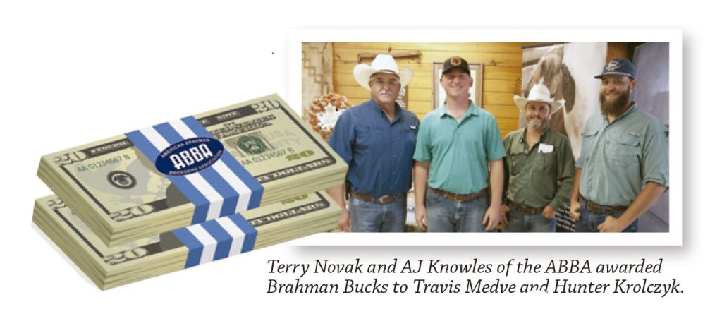 ABBA Awards the First Brahman Bucks – The Brahman Journal