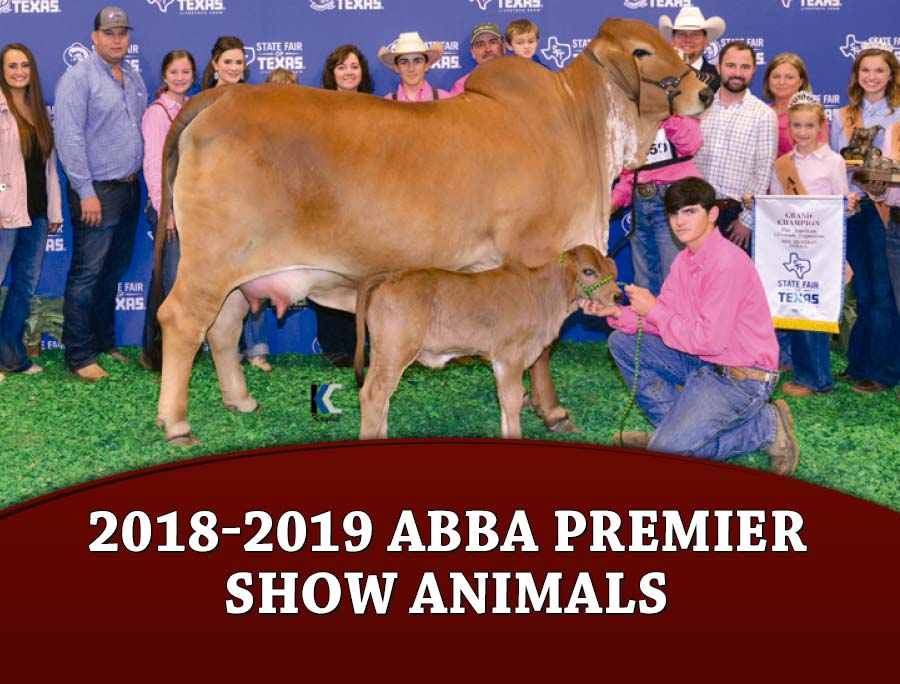 2018-2019 ABBA Premier Show Animals – The Brahman Journal