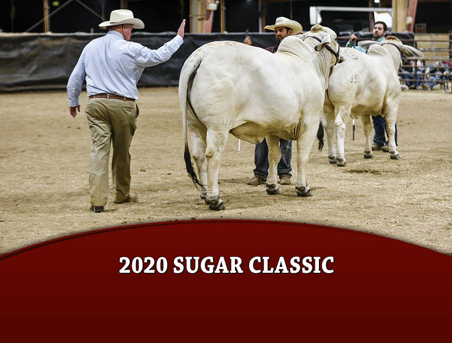 2020 Sugar Classic – The Brahman Journal