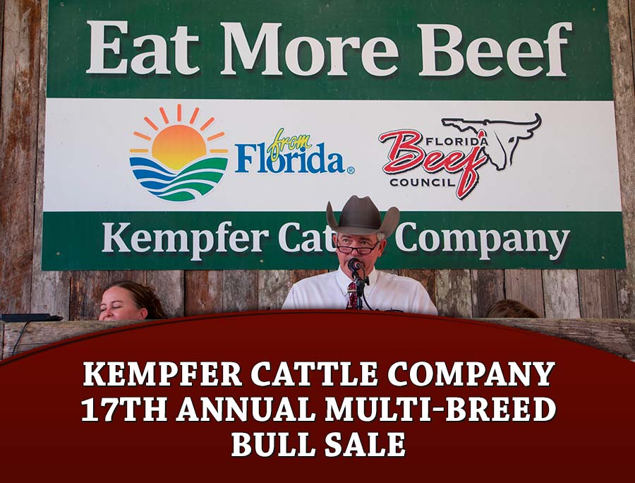 Kempfer Cattle Company 17th Annual Multi-Breed Bull Sale – The Brahman ...