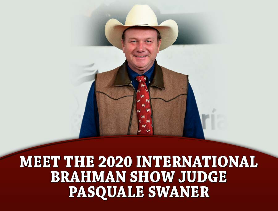 Meet the 2020 International Brahman Show Judge Pasquale Swaner – The ...