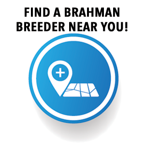 Brahman Breeder Map – The Brahman Journal