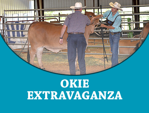 2018 Okie Extravaganza – The Brahman Journal